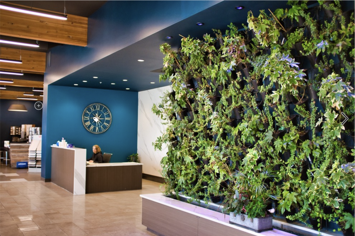 Living Wall – Fischer Commercial Flooring – Billings Nursery
