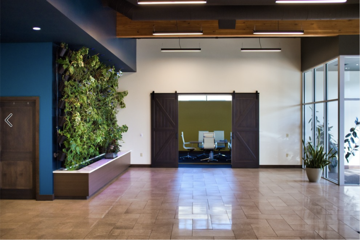 Living Wall – Fischer Commercial Flooring – Billings Nursery